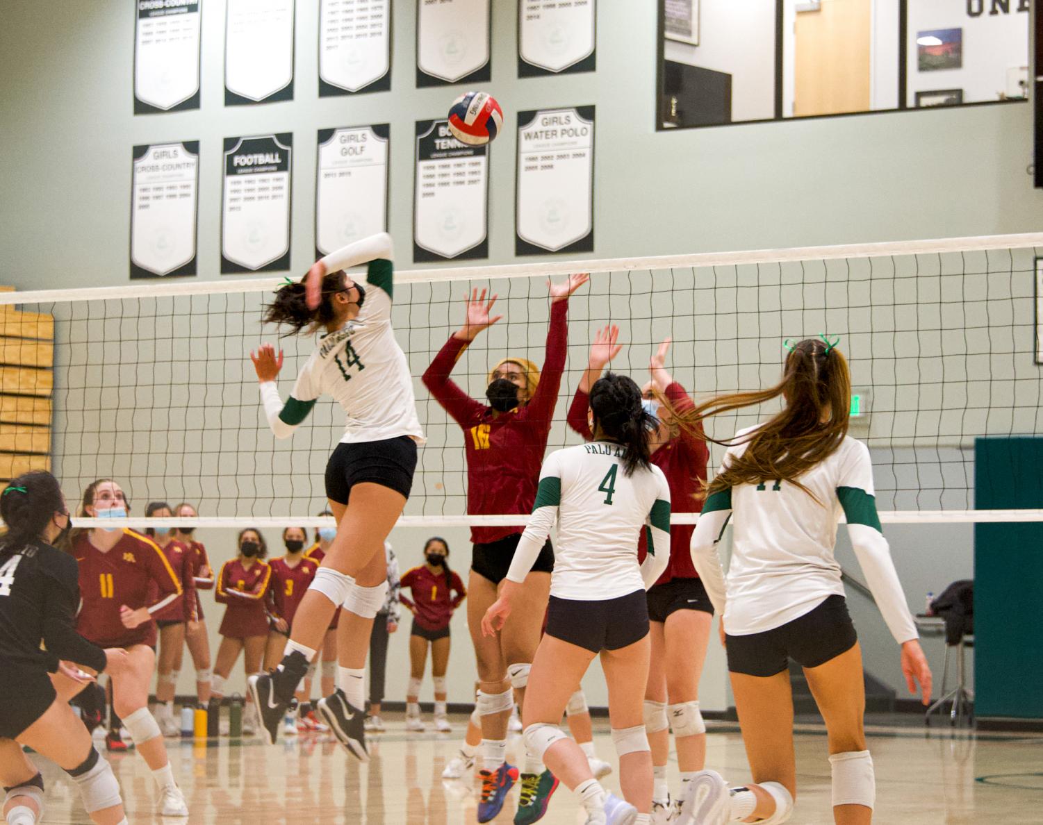 Girls’ volleyball beats Menlo Atherton in first home game – The Paly Voice